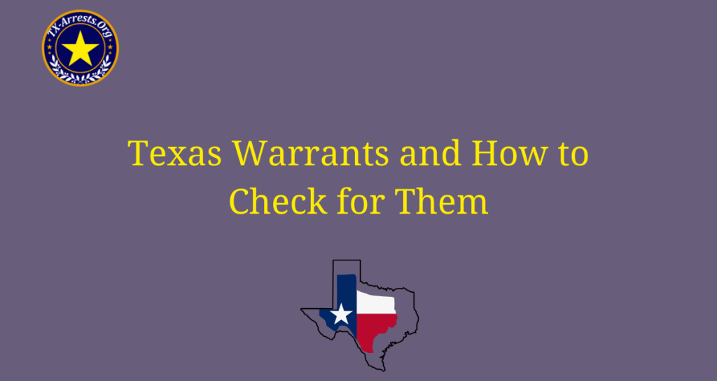 Structure of Texas State Government: An Overview